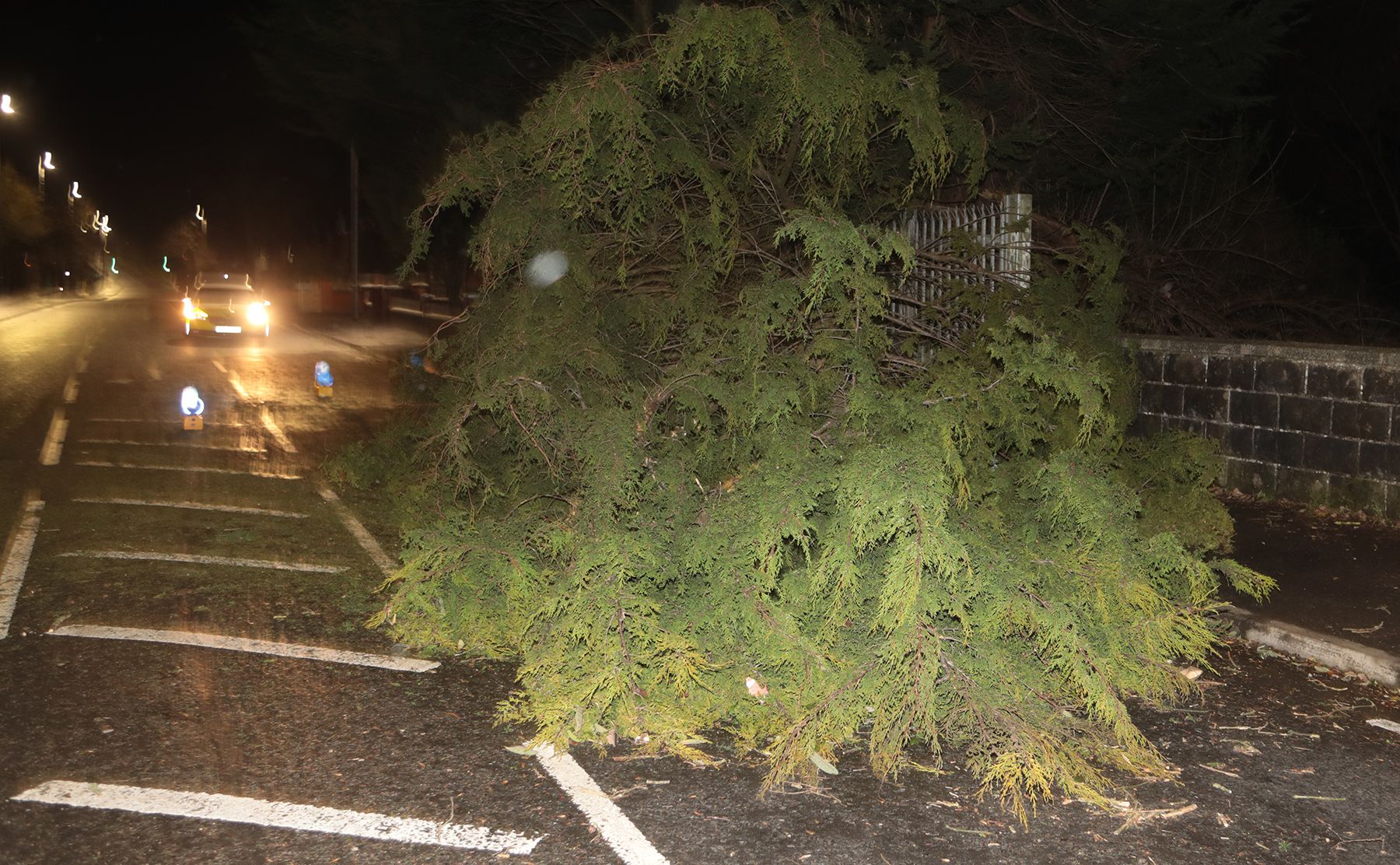 Risk of high winds remains as Storm Isha clean-up begins