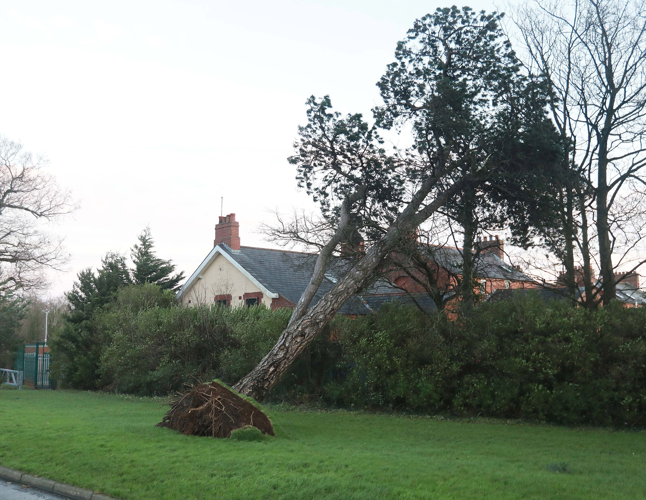 GALLERY: Storm Darragh, the aftermath