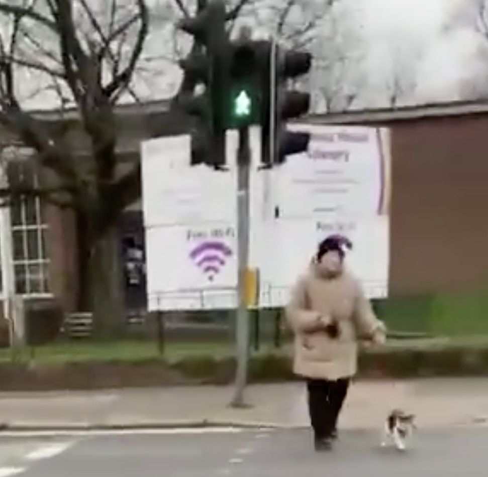WATCH: Green man at busy Ormeau Park crossing stays lit for just six ...