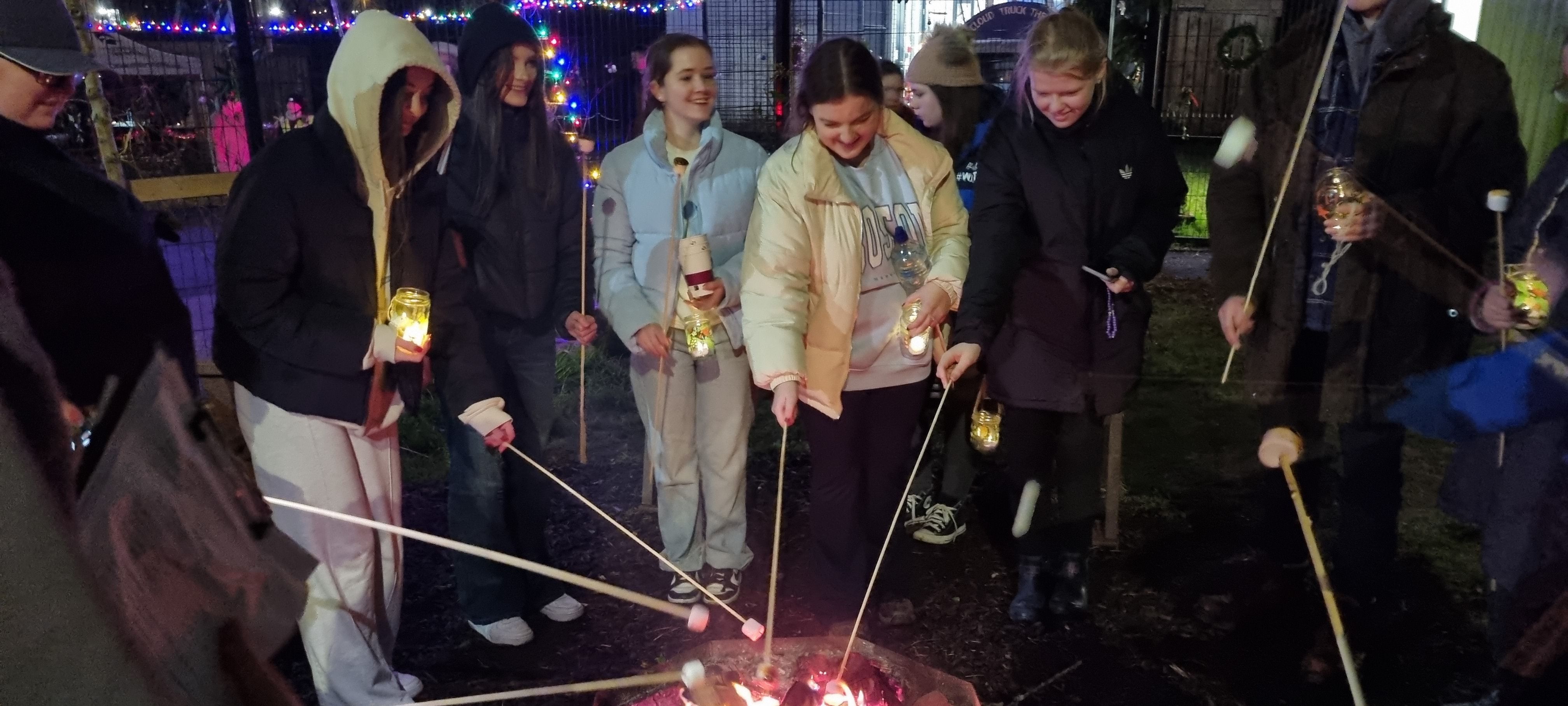 Nature is brought to life during magical solstice lantern walk on the Falls
