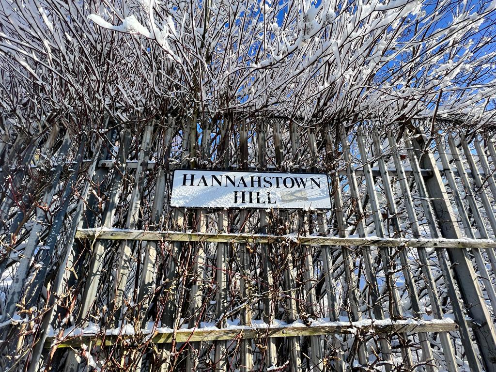 School closures across Belfast due to snow