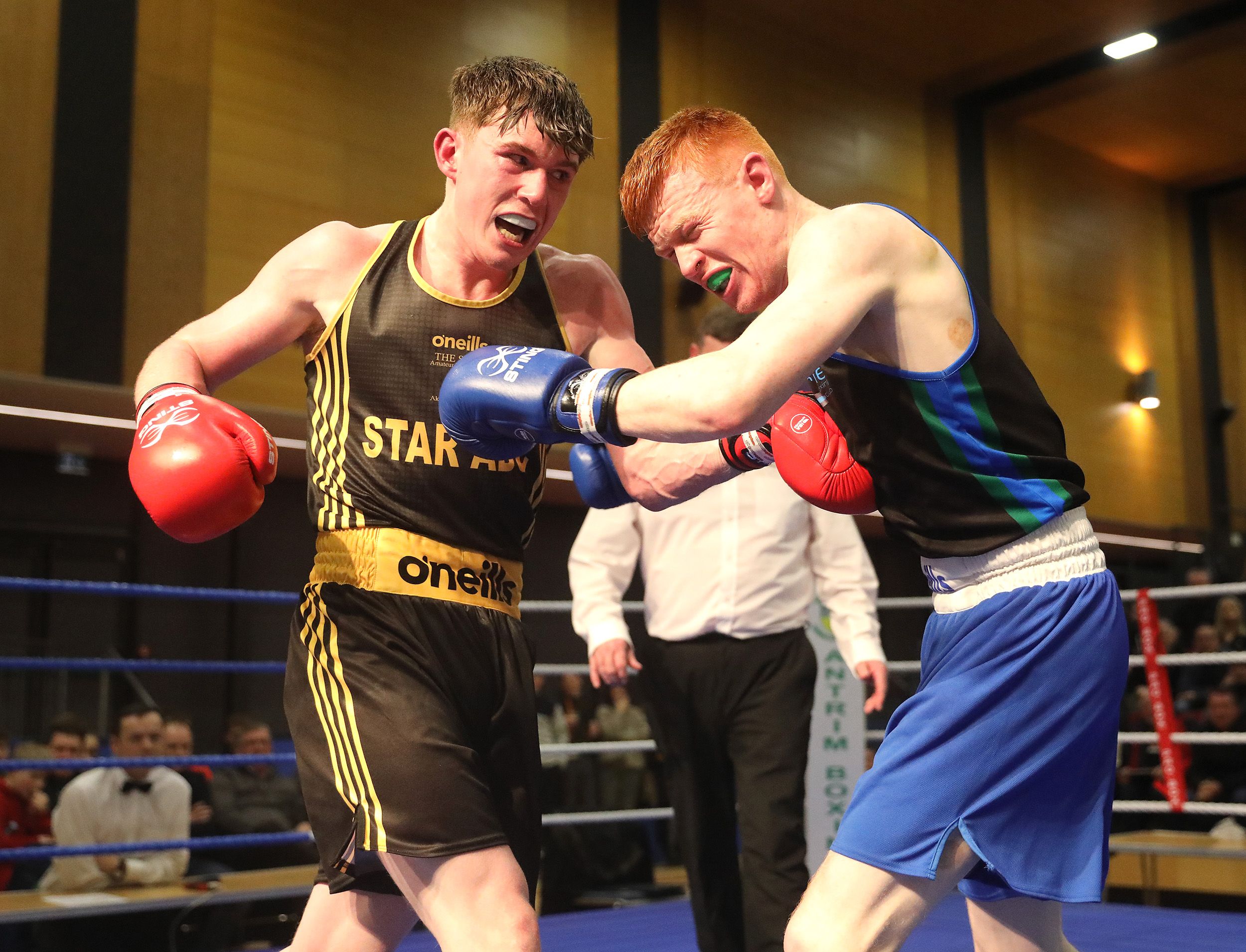 Boxing: Star shine bright at the Ulster Elite finals