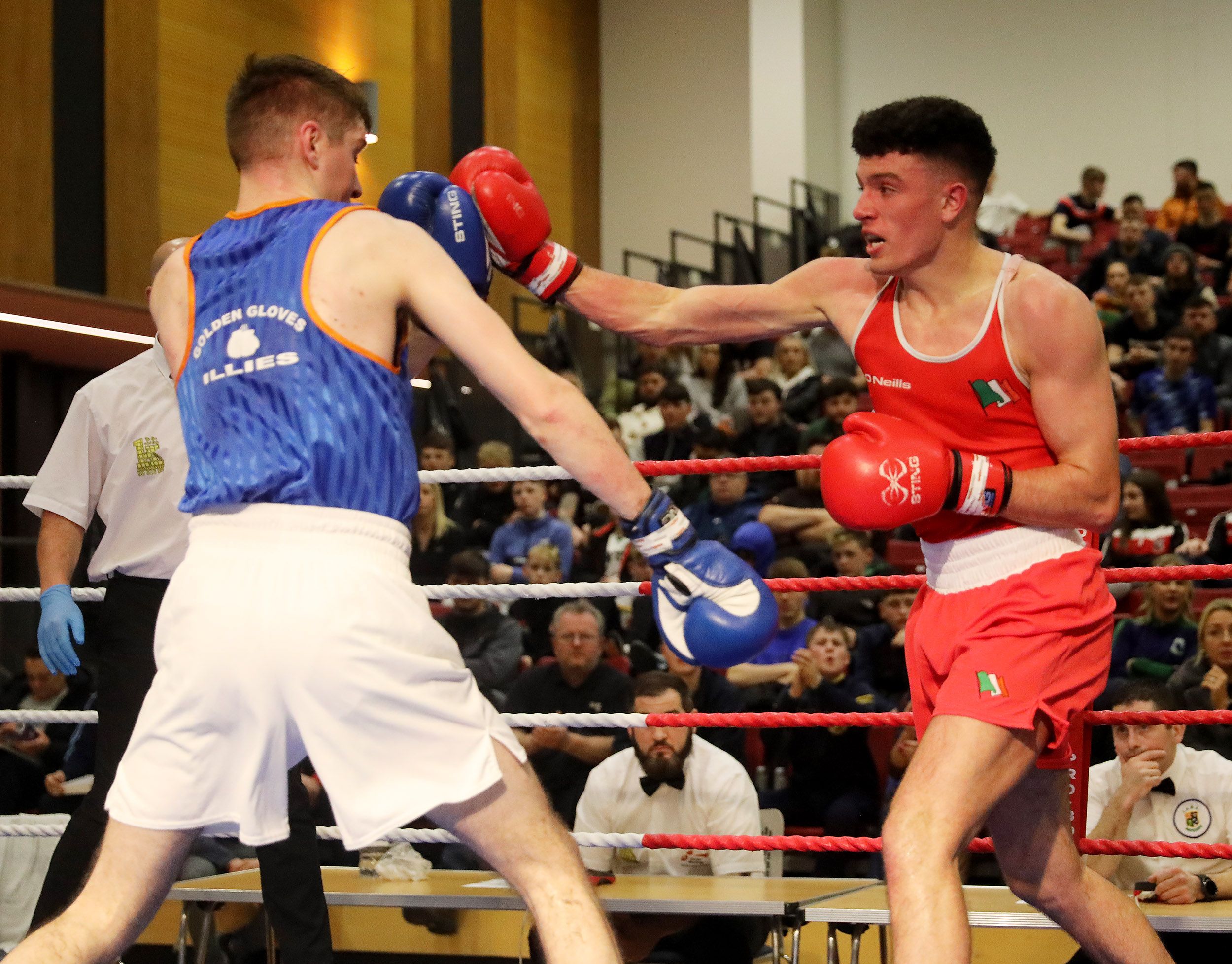 Boxing: Star shine bright at the Ulster Elite finals