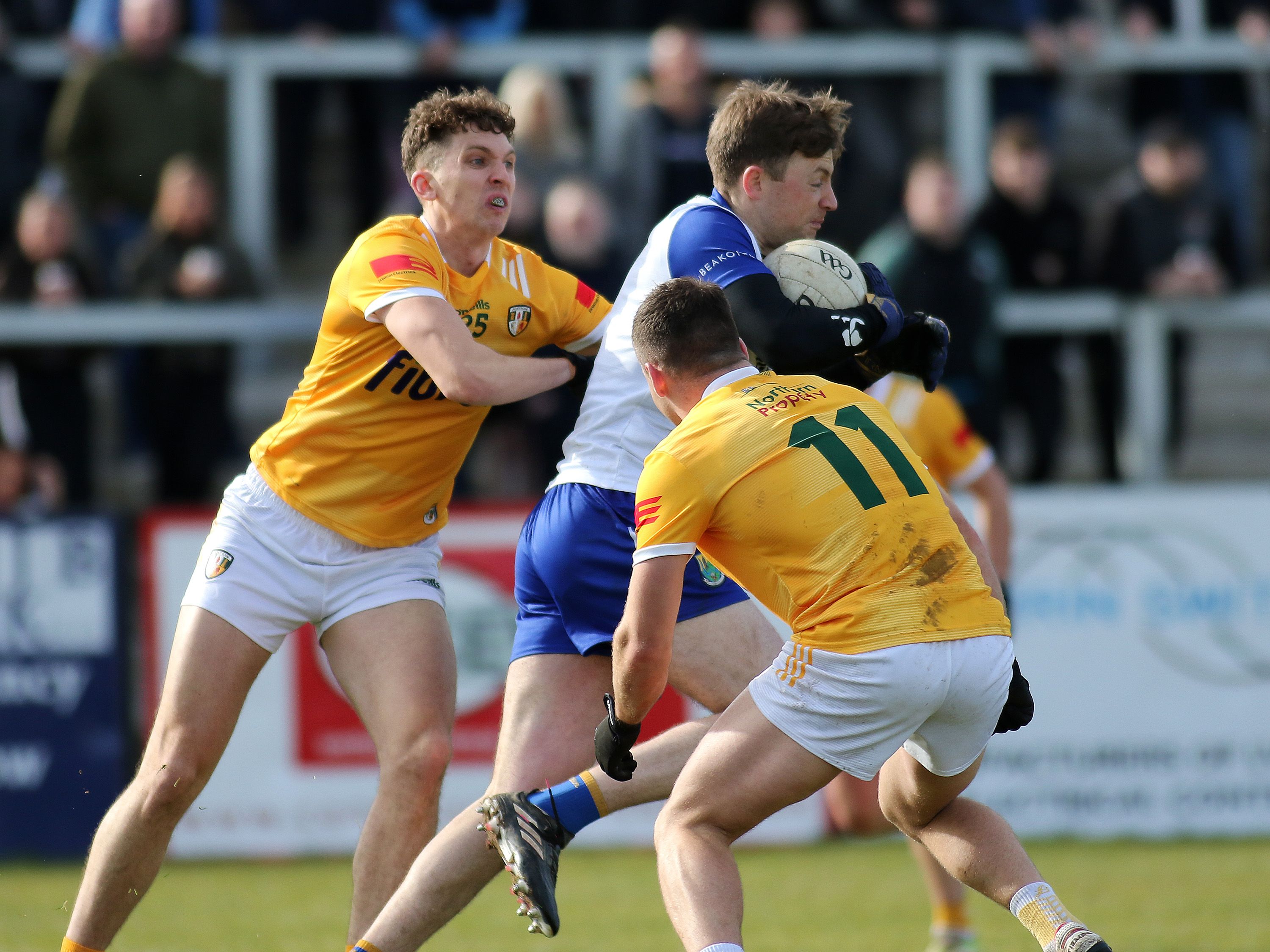 Allianz Football League: Saffrons survive Wicklow surge to remain in ...