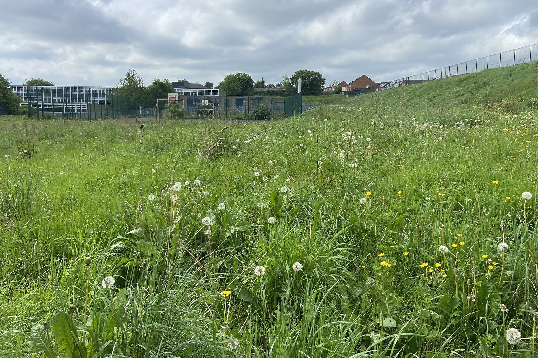 Davitts dream gets the go-ahead in the heart of the Falls