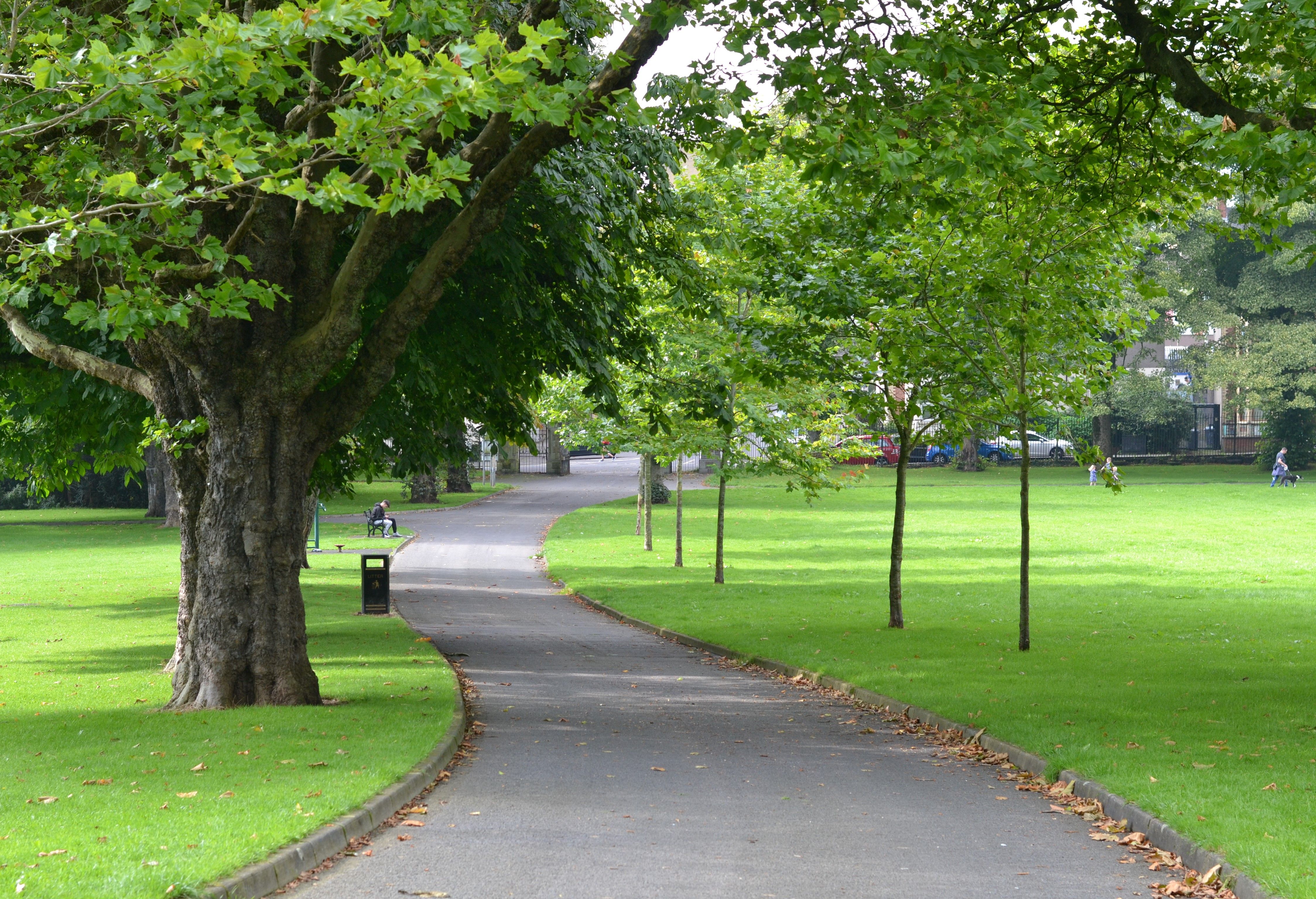 Information days on design plans for Waterworks and Alexandra Park