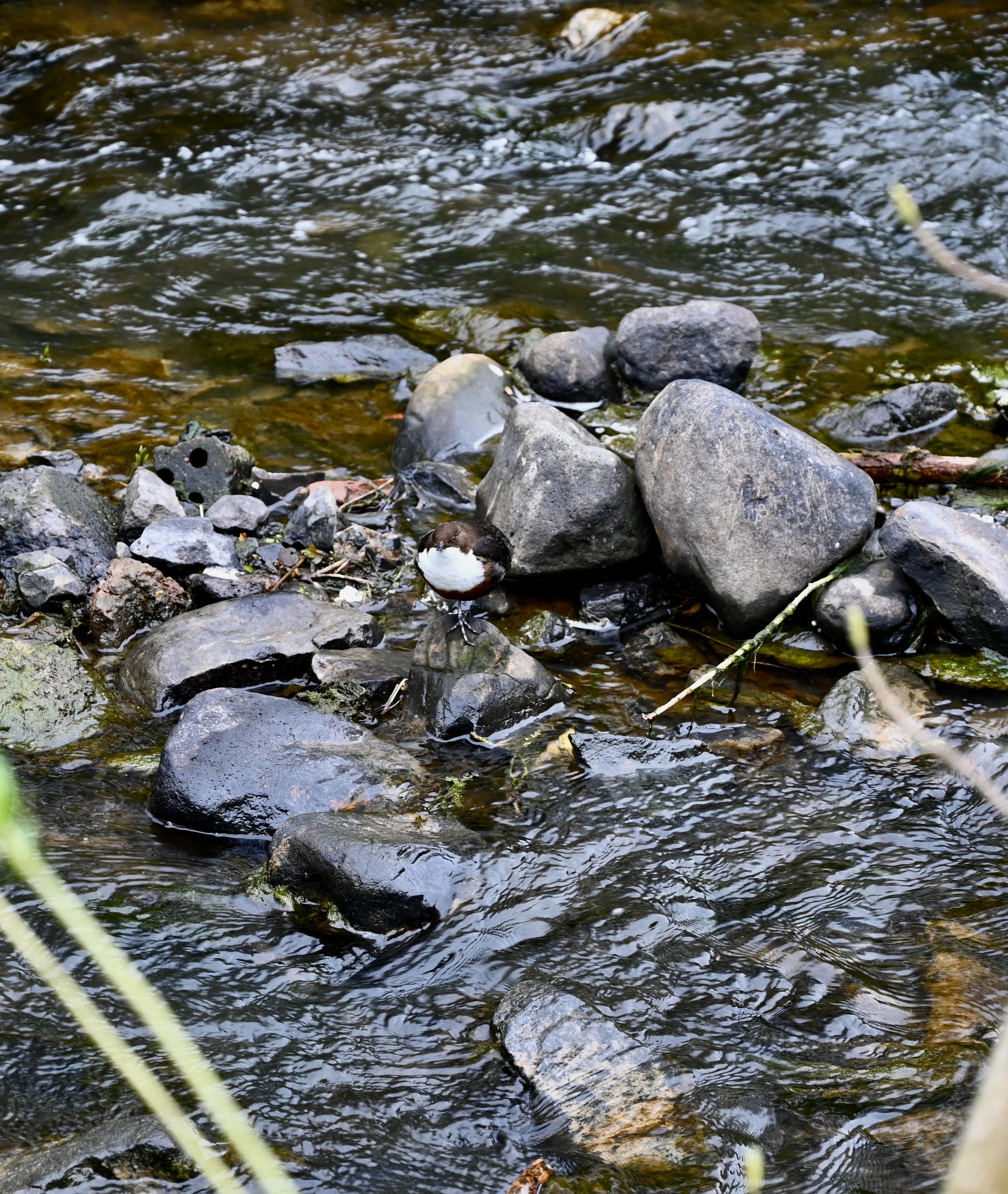 DÚLRA: Pupils learn a lesson they’ll never forget